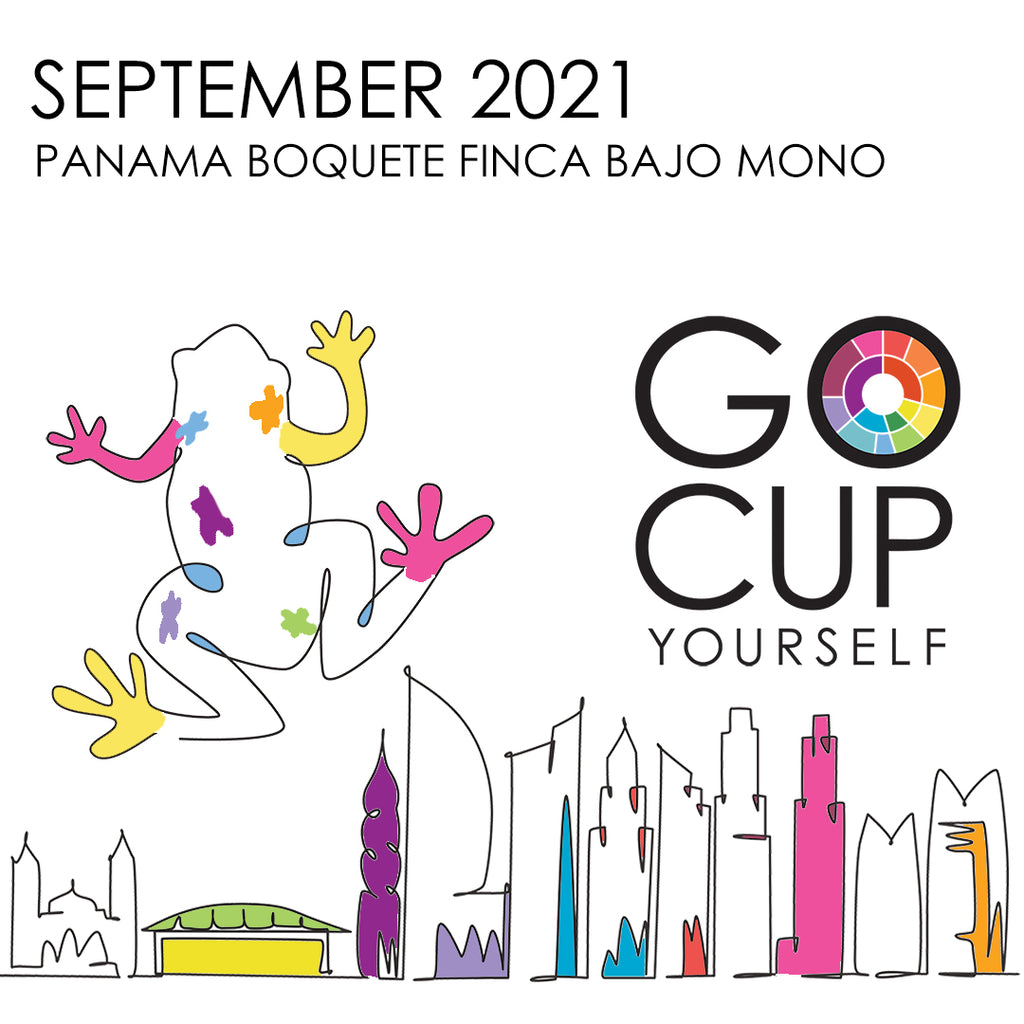 September 2021 - Central America Continues to Shine – GoCupYourselfCoffee